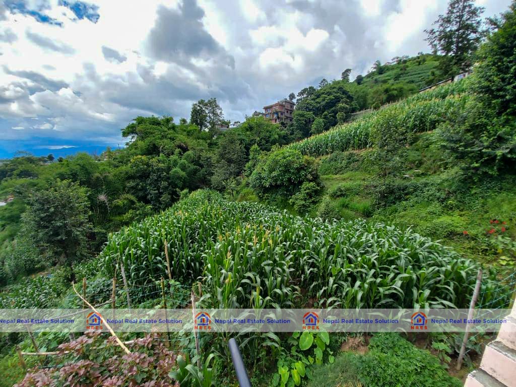 Land For Sale In Bhaktapur | Nepal Real Estate Solution-Real Estate In ...