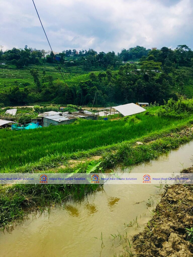 Land For Sale In Chunikhel | Nepal Real Estate Solution-Real Estate In ...
