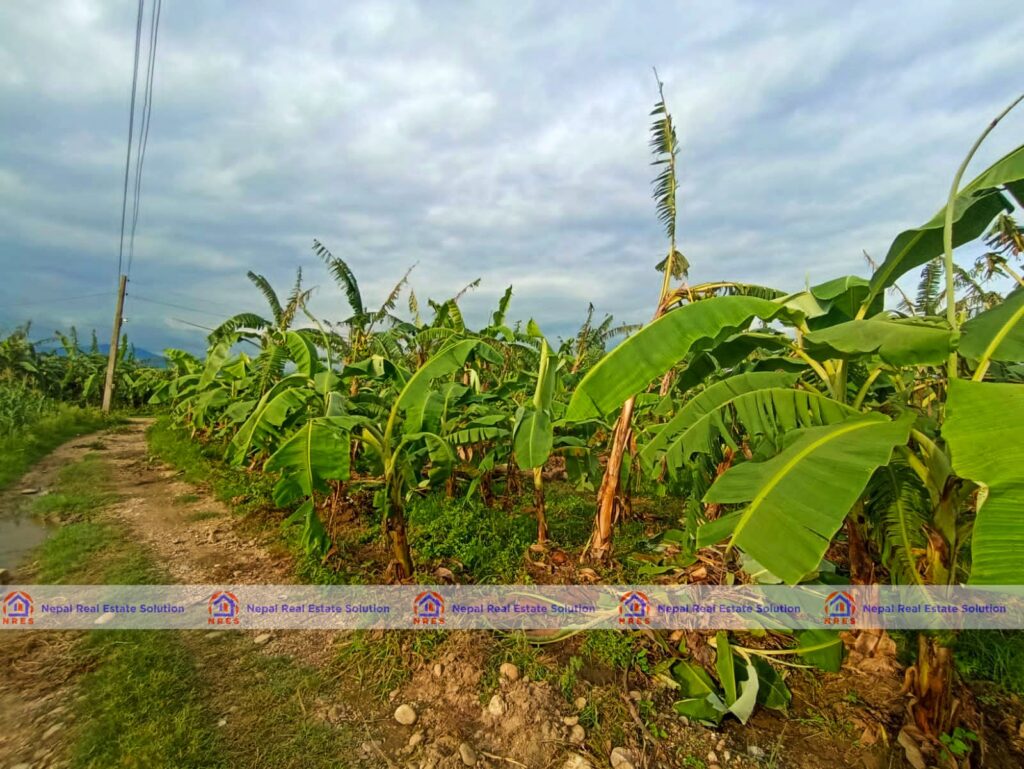 Land For Sale In Nijghad | Nepal Real Estate Solution-Real Estate In ...